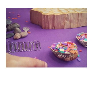 “Order is important in one collection” | RIZOMA EDUCATIU